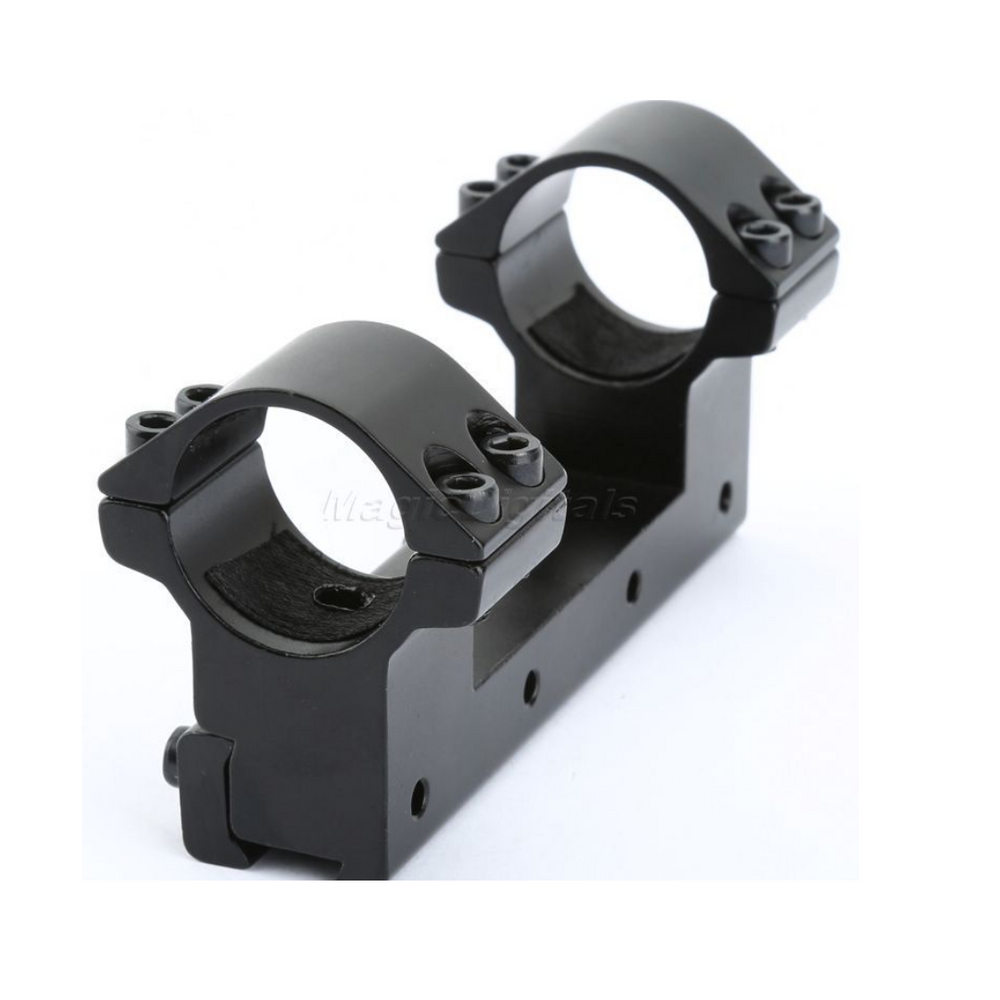 Scope & Mounts